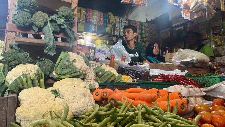 Daftar Harga Sayur di Kabupaten Malang pada 5 Januari 2025, Cabai Rawit ...
